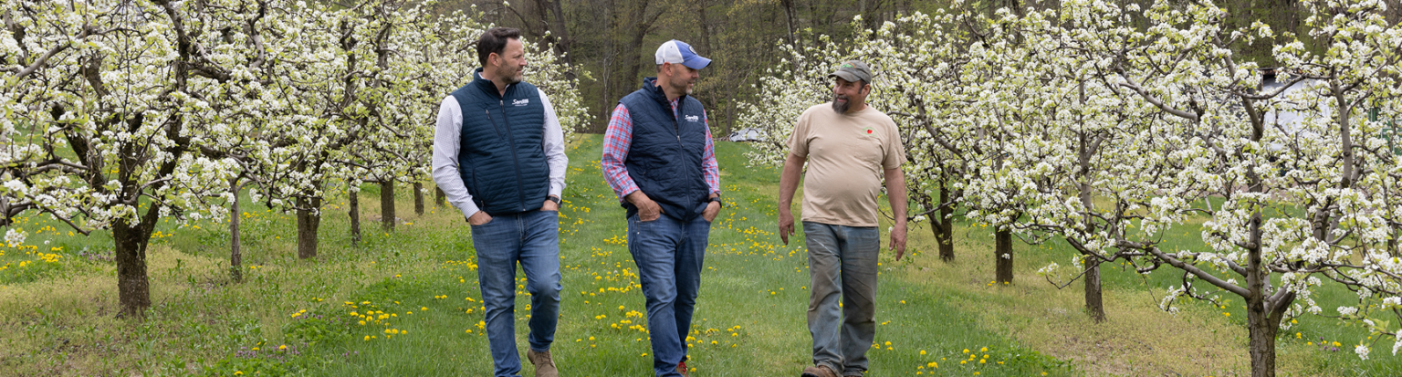 Sardilli Produce - Local Program