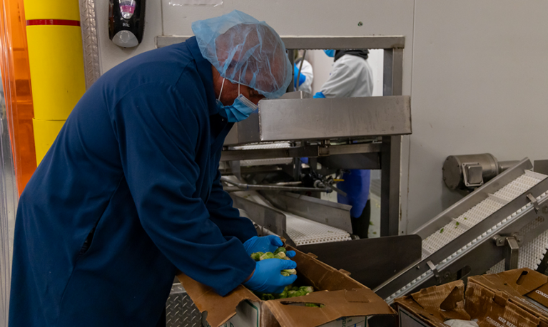 The Sardilli Difference