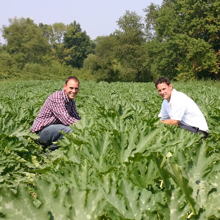 The Sardilli Difference