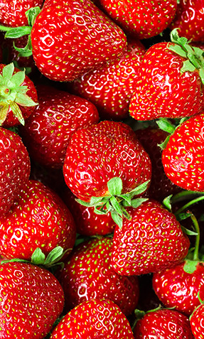 Sardilli Produce & Dairy Co.